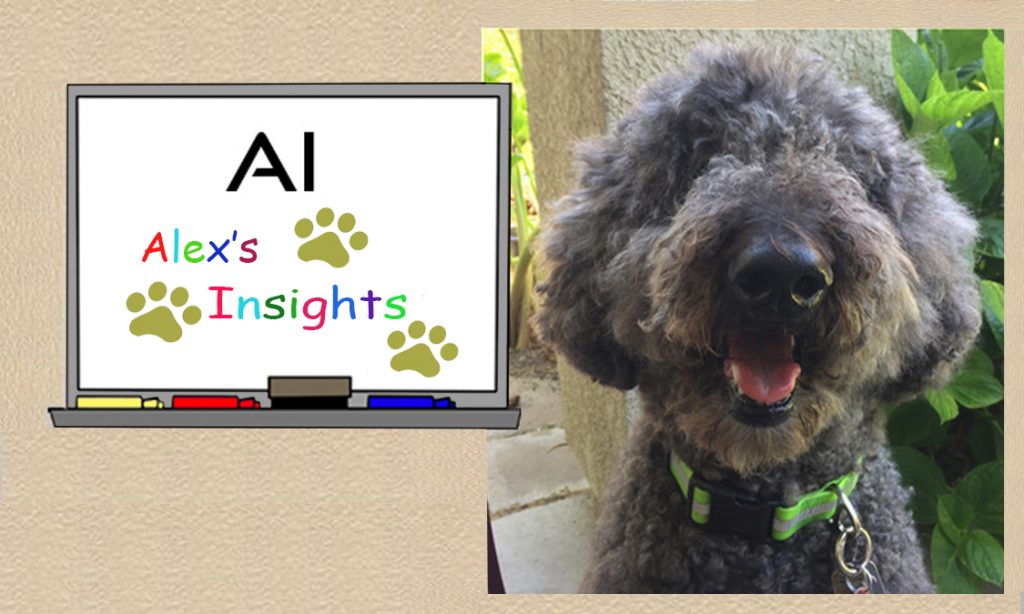 Alex’s Insights – Really Smart – I Create What I Believe