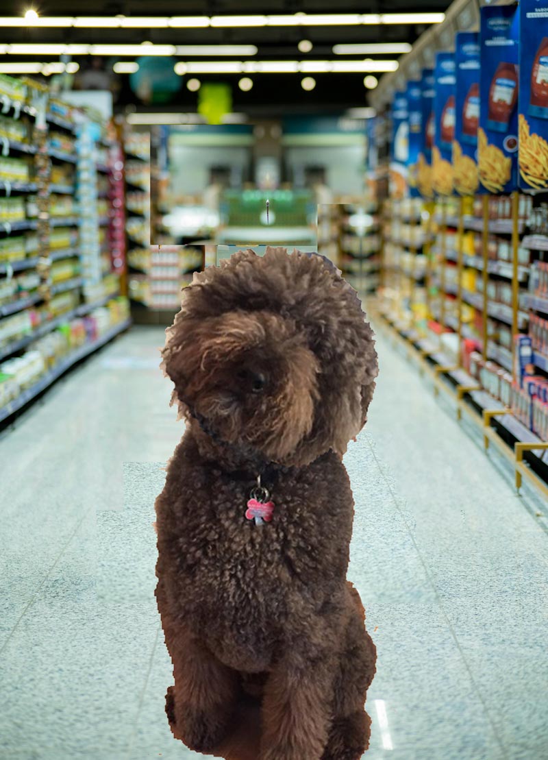 Alex’s Insights – Poop in the Store – I Create What I Believe