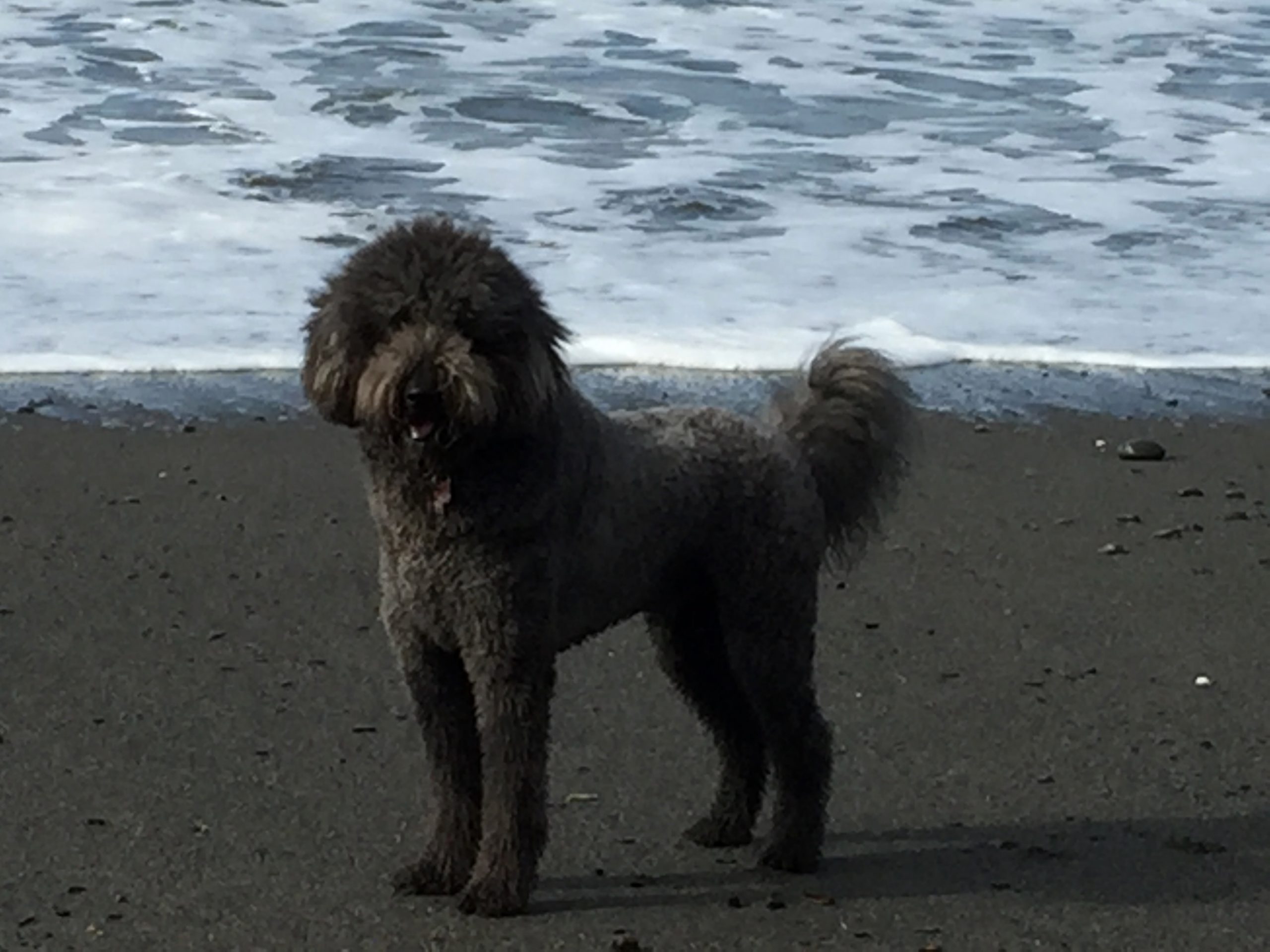 Alex’s Insights – Adapting – I Create What I Believe